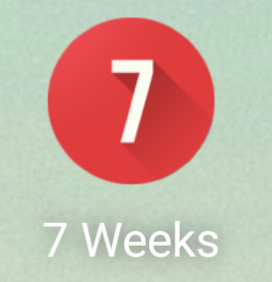 [안드로이드 어플 추천] 습관 어플 7Weeks : 네이버 블로그