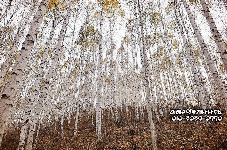 용산오피스텔월세삼각지역오피스텔월세용산파크자이 오피스텔 11월 계약 가능한 월세 네이버 블로그