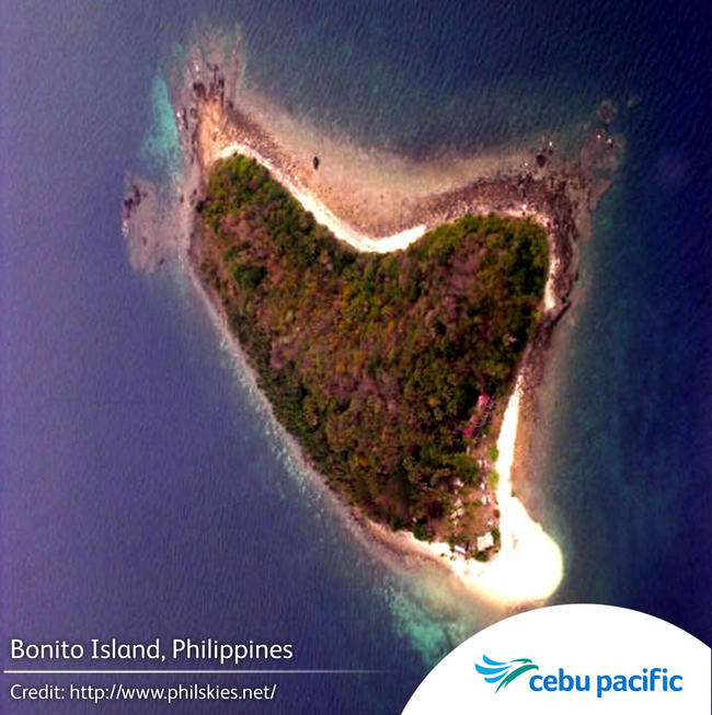[필리핀/자유여행] 사계절 휴양지, 필리핀 보니또 아일랜드 (Bonito island) : 네이버 블로그