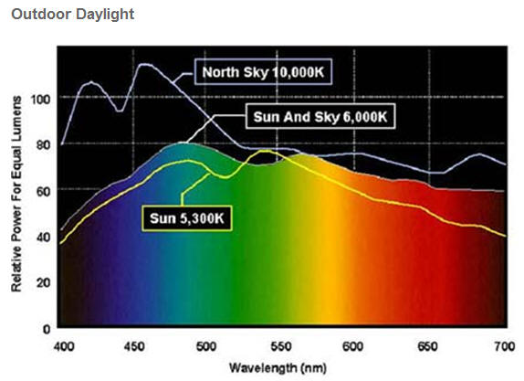나는 LED 조명이 싫어요. : 네이버 블로그