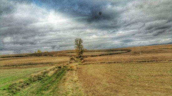 어제까지의 세계 (THE WORLD UNTIL YESTERDAY) ....재레드 다이아몬드(Jared Mason Diamond ...