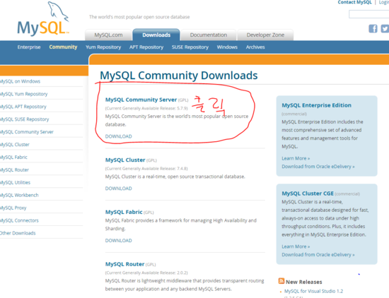[ MYSQL ] MYSQL 설치 방법 / MY-SQL 설치 / DB : 네이버 블로그