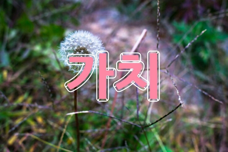 다시보기(10)-가치 : 네이버 블로그