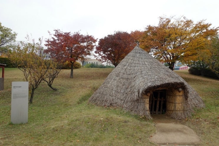 역사가 살아 숨쉬는 문화도시 대전 대전 둔산선사유적지로 선사여행을 떠나요 네이버 블로그