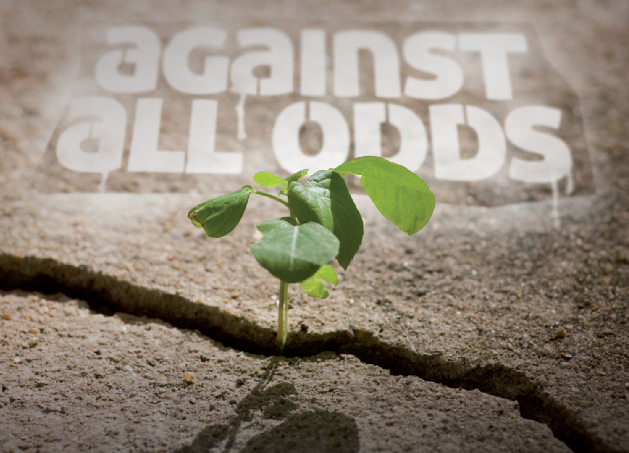 재미있는 영어 숙어 against all odds : 네이버 블로그