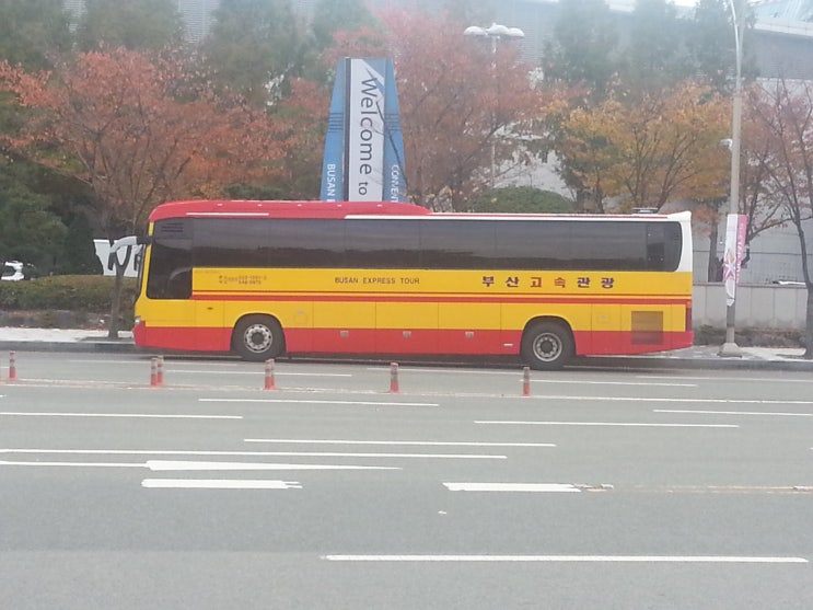 자일대우버스 로얄하이데커 BX212 : 네이버 블로그