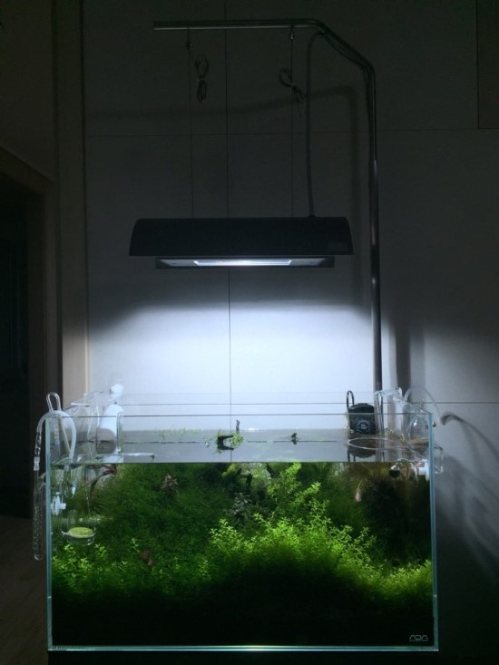 ADA SOLAR I 셋팅 : 네이버 블로그