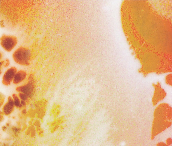 Brian Eno – Making Space (Studio album, 2010) : 네이버 블로그