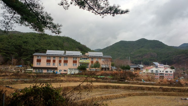 대구 동화사 요양원 치매노인 푸드아트테라피 프로그램 성옥심리검사연구소장 윤규원 교수 네이버 블로그