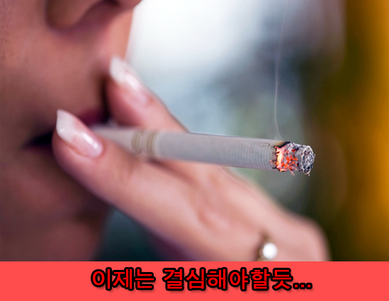 이제는 결심을 할때가 되었나봐요~ : 네이버 블로그