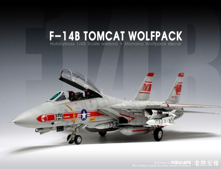 1/48 F-14B Tomcat / HobbyBoss + wolfpack decal / Monokio 완성 : 네이버 블로그