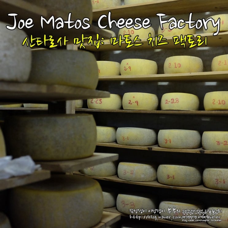 [산타로사 맛집] 산타로사 가는 길에 치즈매니아라면 가서 사야되는, 산토스 치즈 팩토리(Joe Matos Cheese ...