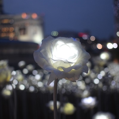 동대문 ddp : LED 장미 정원 : 네이버 블로그