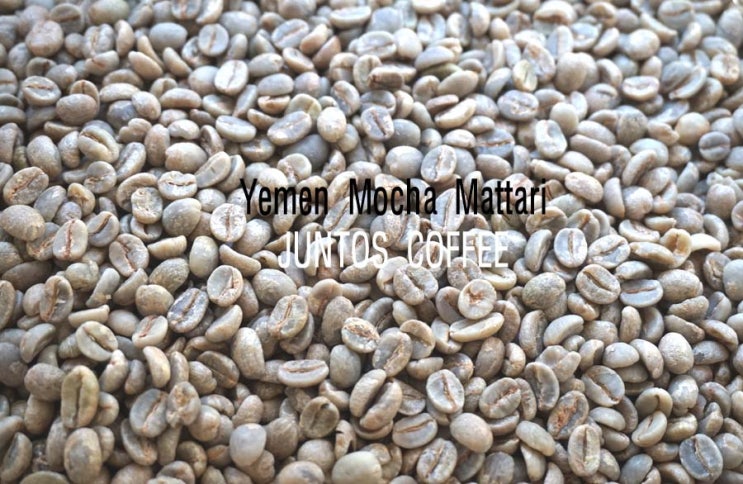예멘 모카 마타리 [Yemen Mocha Mattari] : 네이버 블로그