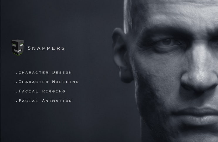 Snappers Systems : 네이버 블로그