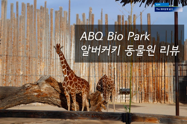 미국 동물원 - 앨버커키 생태공원 ABQ Bio Park Zoo : 네이버 블로그