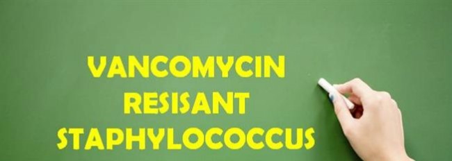 VRE - VANCOMYCIN RESISTANT ENTEROCOCCI : 네이버 블로그