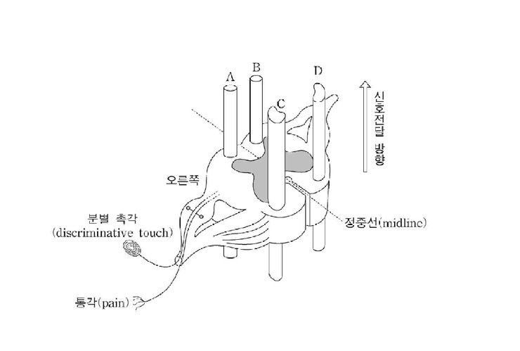 프라임엠디/최성윤 MEET/DEET 2013학년도 생물추론 기출문제 137 : 네이버 블로그