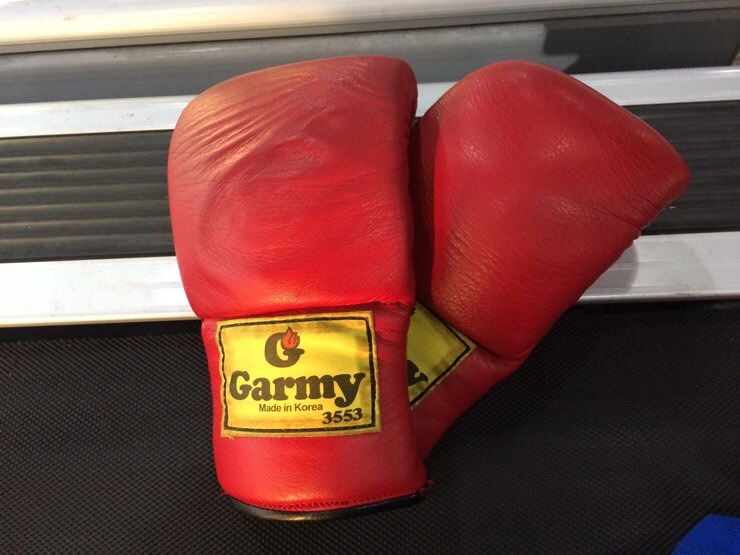 복싱 글러브 가미(Garmy) : 네이버 블로그