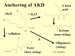 AKD WAX (ALKYL KETENE DIMER) CAS 144245-85-2 : 네이버 블로그
