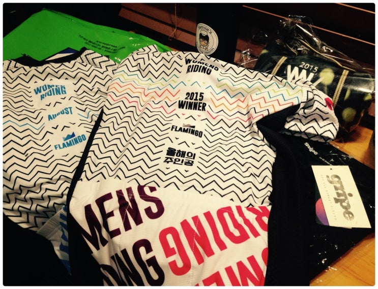 12월 라이딩 기록, 2015년 라이딩 결산. 총 10003.99km : 네이버 블로그