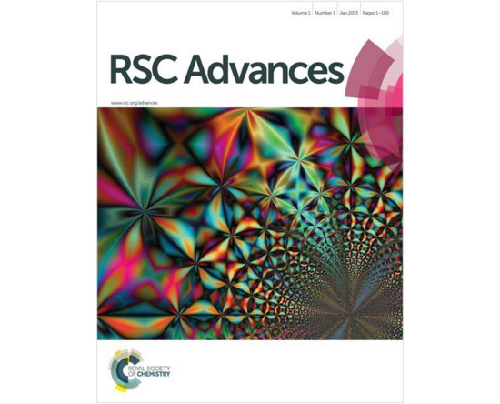 조은범 교수(정밀화학과), 영국왕립화학회 RSC Advances 저널 에디터로 선정 : 네이버 블로그