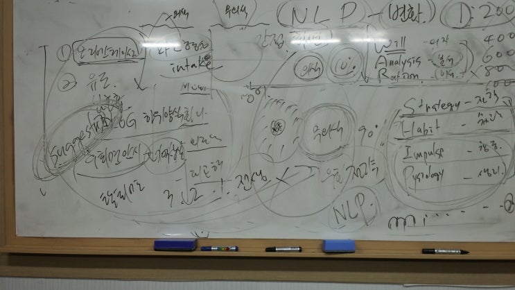 대구 Nlp 마스터 프랙티셔너 자격증 교육 트레이너 성옥심리검사연구소장 윤규원 교수 네이버 블로그