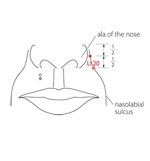 수양명대장경 - 영향(LI20) ★ : 네이버 블로그