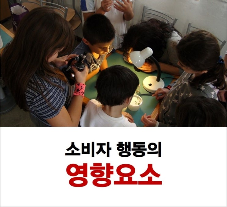 소비자 행동에 영향을 미치는 요인 경영지도사 안시헌 네이버 블로그