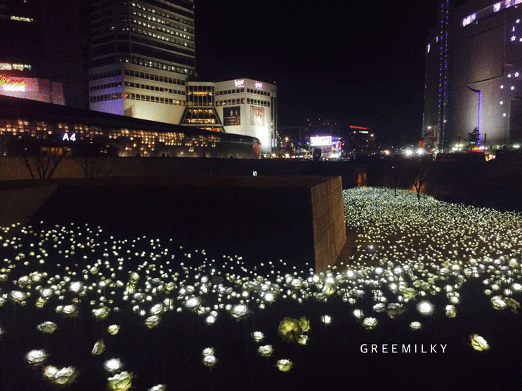 동대문 DDP :: LED 장미정원 : 네이버 블로그