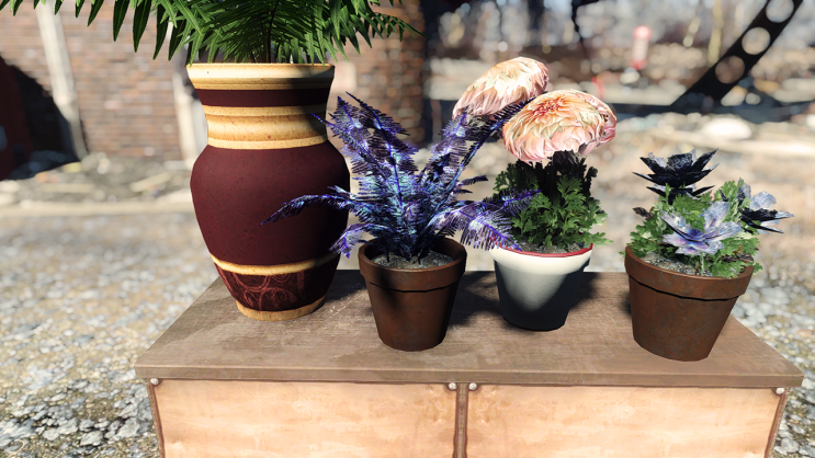 폴아웃4 모드 한글화 - Eli's Craftable Flower Pots v.1.0 : 당신의 황량한 마음같았던 곳에 아름다운 ...
