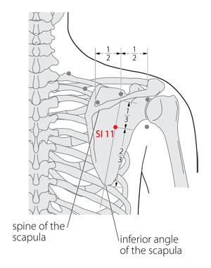 수태양소장경 – 천종(SI11) : 네이버 블로그