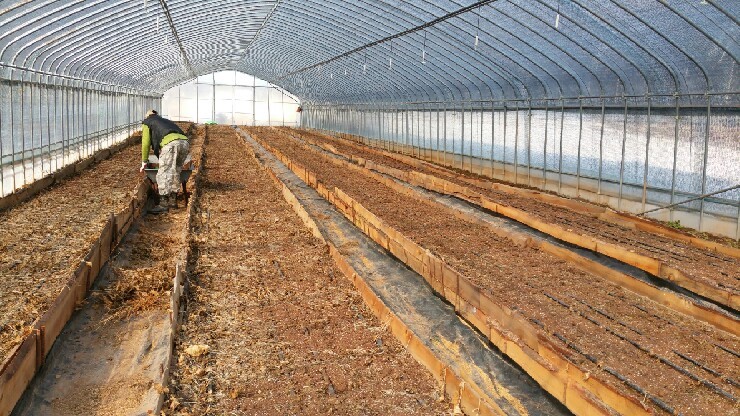 하우스에 흙덮어 주엇네요 : 네이버 블로그