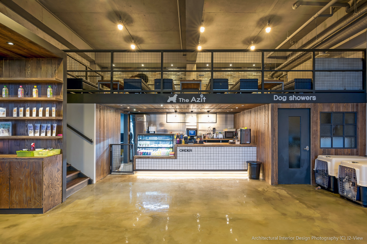 애견카페 인테리어 사진촬영_The Azit : 네이버 블로그