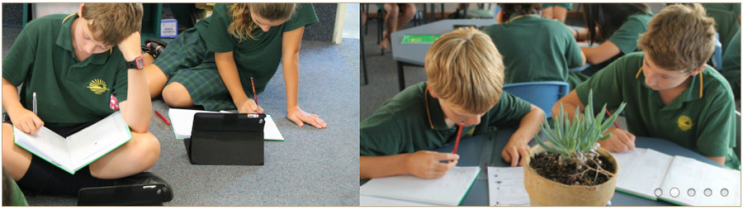 Murrays bay Intermediate School,미레이 바이 중학교 : 네이버 블로그