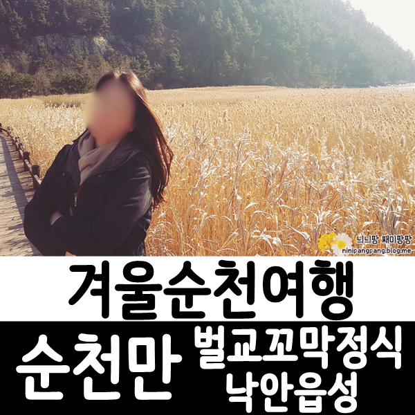 겨울순천여행 순천만 벌교 거시기꼬막식당 꼬막정식 순천 낙안읍성 순천가볼만한곳 순천근교여행 순천여행코스