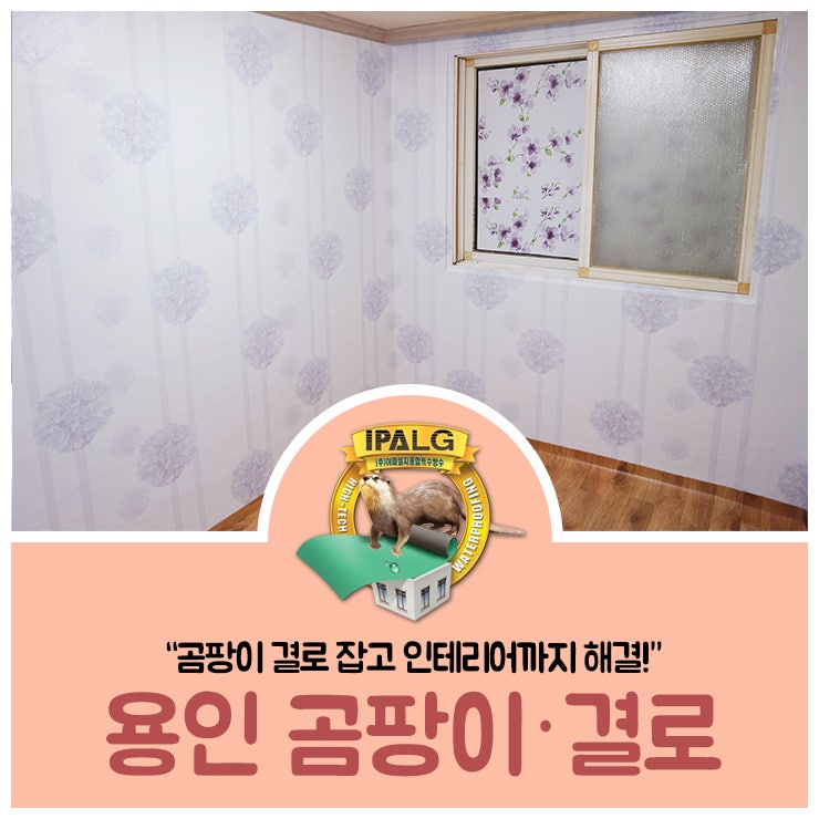 반지하곰팡이제거와 결로현상을 곰팡이 방지 페인트나 곰팡이 방지 벽지로 잡을 수 있을까요 네이버 블로그