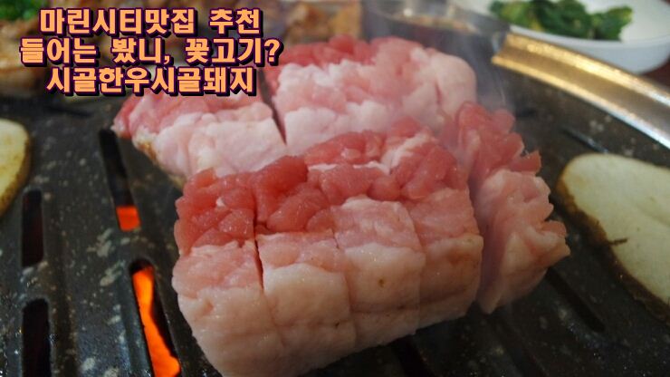 마린시티맛집추천 꽃고기로 유명한 해운대고기집 시골한우시골돼지 네이버 블로그