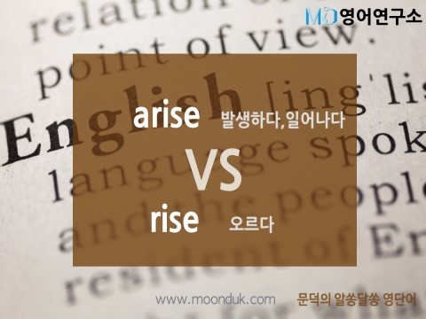 MD 알쏭달쏭 영단어_arise VS rise : 네이버 블로그