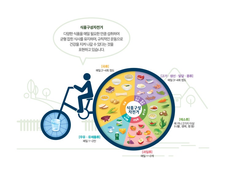 식생활basic 식품구성자전거가 개정되었습니다 식품구성자전거2015개정식품구성탑균형잡힌식사한국영양학회보건복지부