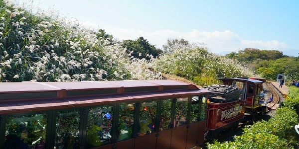 한국의 작은 유럽 에코랜드 방문 : 네이버 블로그