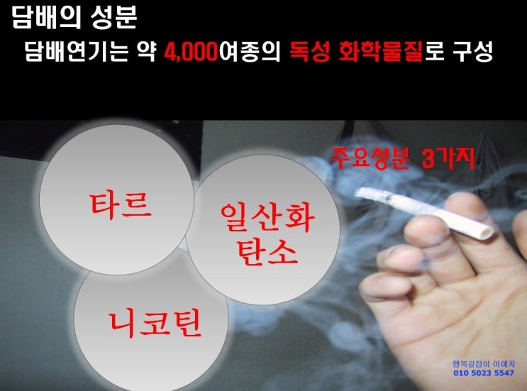 광주전남 전북 흡연예방 금연교육 이애자 강사 강진군 보건소와 함께 3탄입니다 네이버 블로그