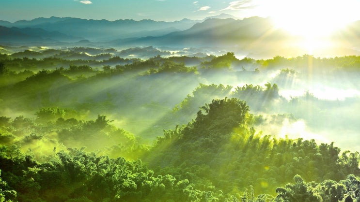 눈이 편안해지는 풍경 사진 고화질 바탕화면 이미지 : 네이버 블로그