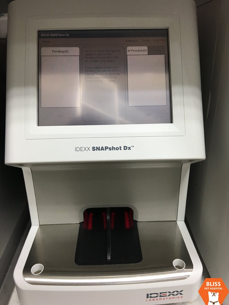 (호르몬검사)동물전용 호르몬 검사기 IDEXX SNAPshot Dx Analyzer! (혈액검사 장비 Upgrade) -평택 ...