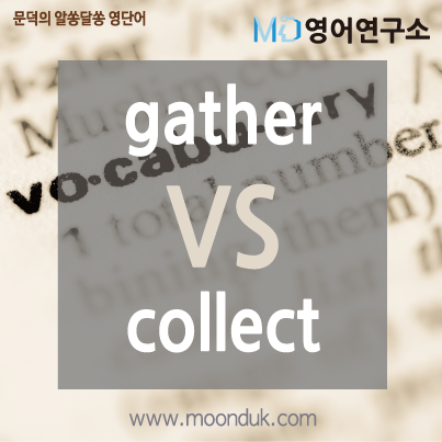 MD 알쏭달쏭 영단어_gather VS collect : 네이버 블로그