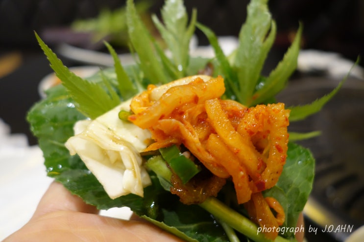일산 맛집 찾아가는 백종원의 돌배기집 차돌박이 전문점 네이버 블로그