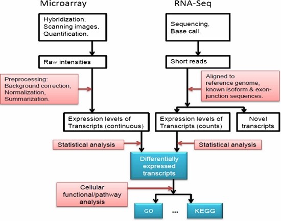 RNA-seq analysis - 그림 & 키워드 : 네이버 블로그