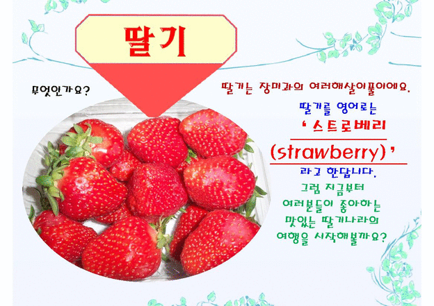 딸기프로젝트 교육계획안 딸기가 되는 과정 딸기로 만든 음식 헛열매 참열매 딸기꽃 딸기잎 뱀딸기 창의활동지 이야기나누기 상호작용 딸기의 역사 딸기가