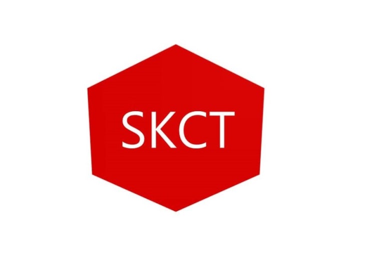 SKCT 문제유형파악하기 : 네이버 블로그