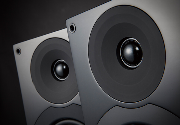 System Audio SA saxo 5 시스템 오디오의 진가를 알기에 가장 적합한 매력의 스피커 : 네이버 블로그